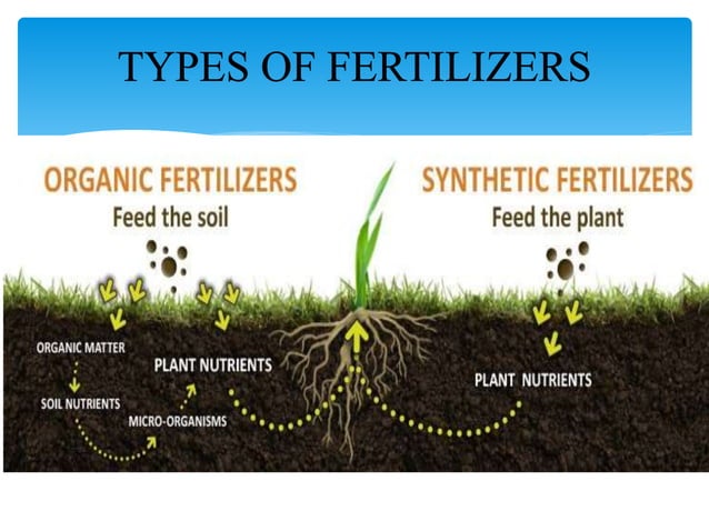 Perform Estimation and Calculation | PPTX