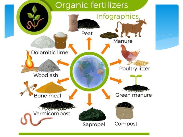 Perform Estimation and Calculation | PPTX