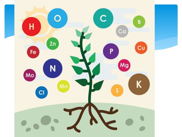 Perform Estimation and Calculation | PPTX