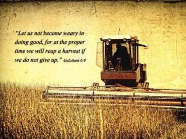 Perform Estimation and Calculation | PPTX