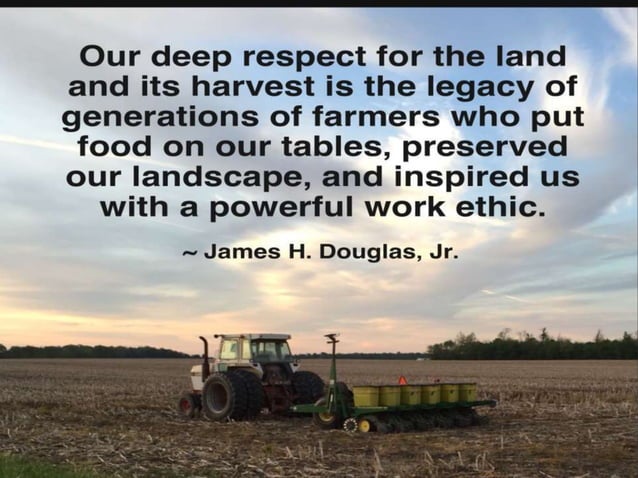 Perform Estimation and Calculation | PPTX