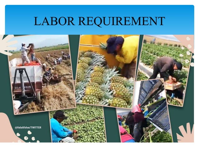 Perform Estimation and Calculation | PPTX