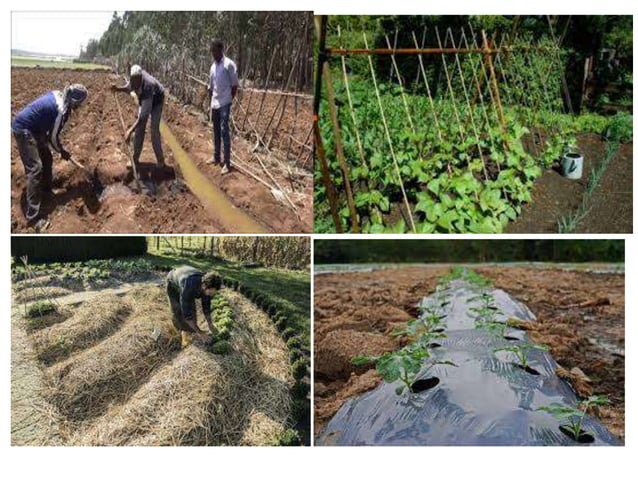 Perform Estimation and Calculation | PPTX