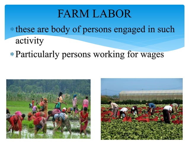 Perform Estimation And Calculation