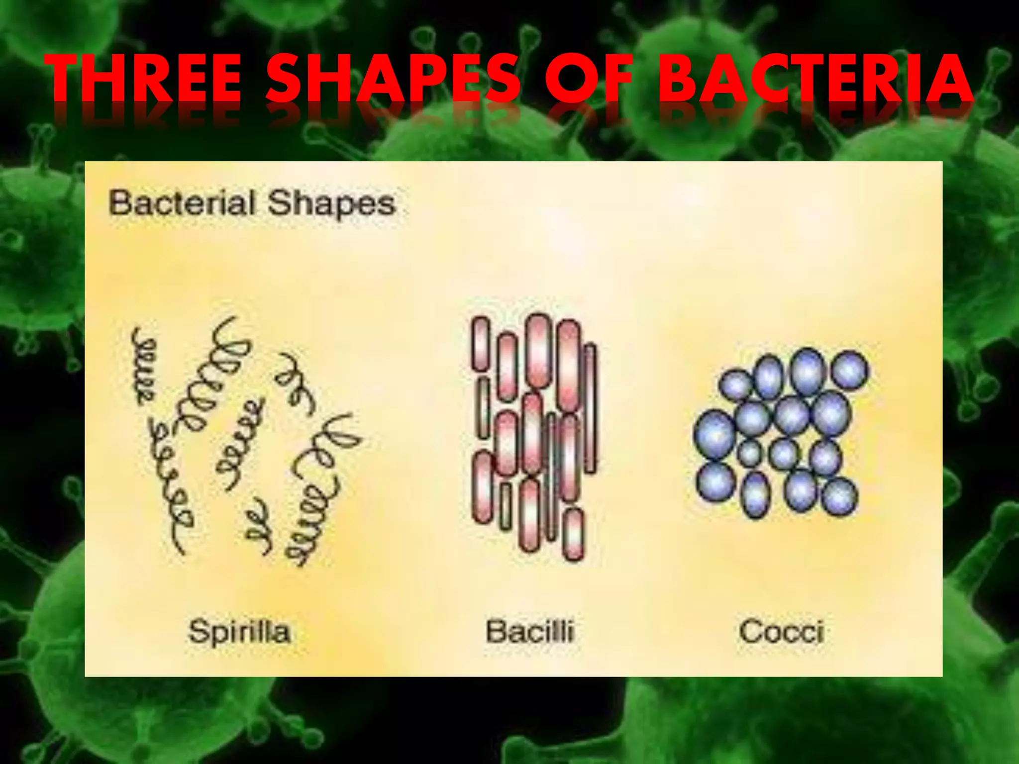 TYPES OF PATHOGEN (MAPEH 8 - HEALTH) | PPT
