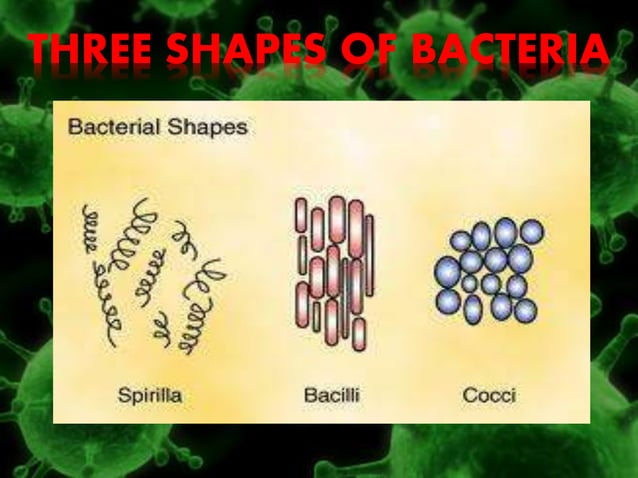 TYPES OF PATHOGEN (MAPEH 8 - HEALTH) | PPT | Infectious Diseases ...
