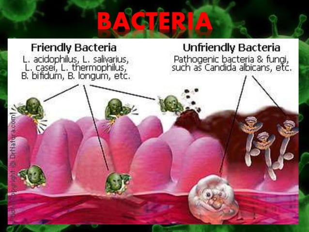 TYPES OF PATHOGEN (MAPEH 8 - HEALTH) | PPT | Infectious Diseases ...