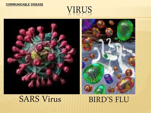 TYPES OF PATHOGEN (MAPEH 8 - HEALTH) | PPT | Infectious Diseases ...