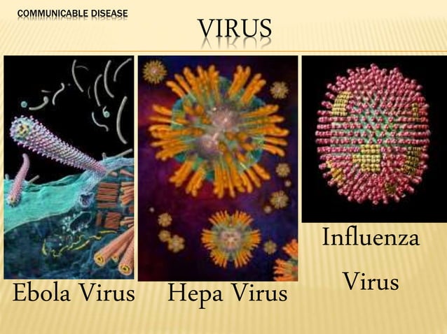 TYPES OF PATHOGEN (MAPEH 8 - HEALTH) | PPT | Infectious Diseases ...