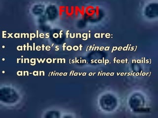 TYPES OF PATHOGEN (MAPEH 8 - HEALTH) | PPT