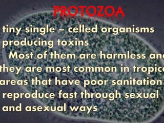 TYPES OF PATHOGEN (MAPEH 8 - HEALTH) | PPT