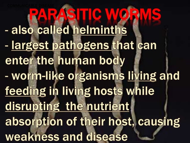 TYPES OF PATHOGEN (MAPEH 8 - HEALTH) | PPT | Infectious Diseases ...