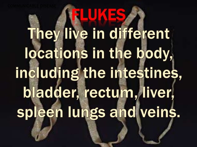 TYPES OF PATHOGEN (MAPEH 8 - HEALTH) | PPT | Infectious Diseases ...