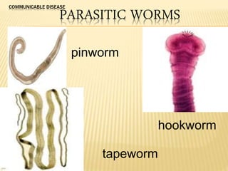 TYPES OF PATHOGEN (MAPEH 8 - HEALTH) | PPT
