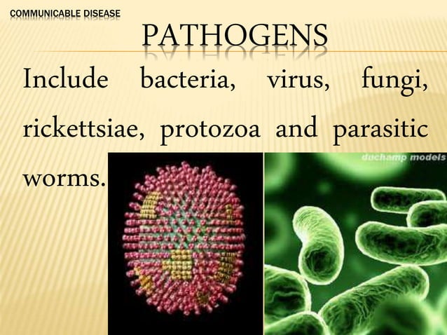 TYPES OF PATHOGEN (MAPEH 8 - HEALTH) | PPT | Infectious Diseases ...