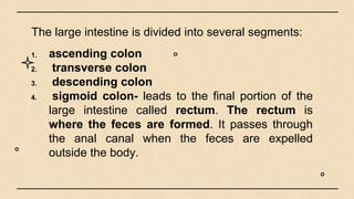 GRADE8-DIGESTIVE-PPT.pptx......yess Soo it's the idl | PPT