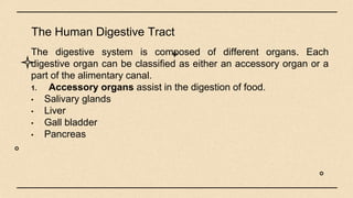 GRADE8-DIGESTIVE-PPT.pptx......yess Soo it's the idl | PPTX