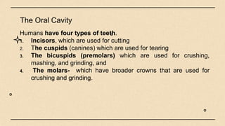 GRADE8-DIGESTIVE-PPT.pptx......yess Soo it's the idl | PPT