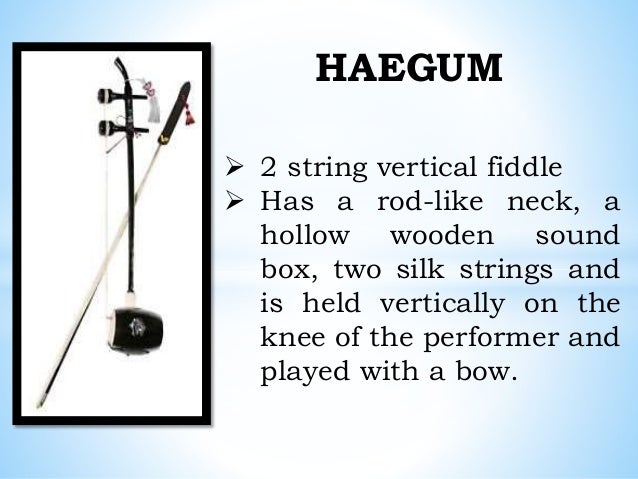 A Korean Two String Vertical Fiddle | ppgbbe.intranet.biologia.ufrj.br