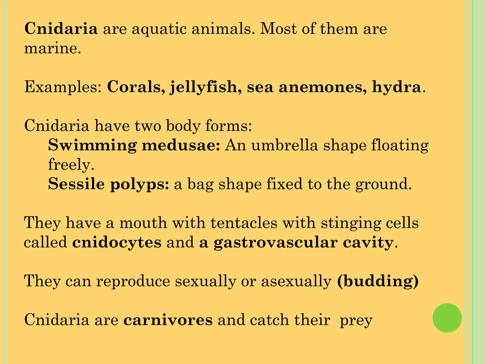 Grade 8 taxonomy | PPT