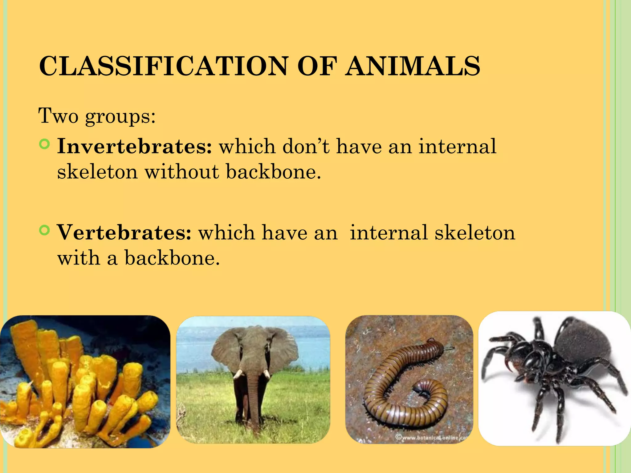 Grade 8 taxonomy | PPT