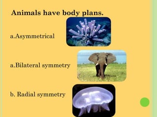 Grade 8 taxonomy | PPT