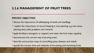 dfrgbh tb GRADE 8 2.2 FRUIT PRODUCTION.pptx