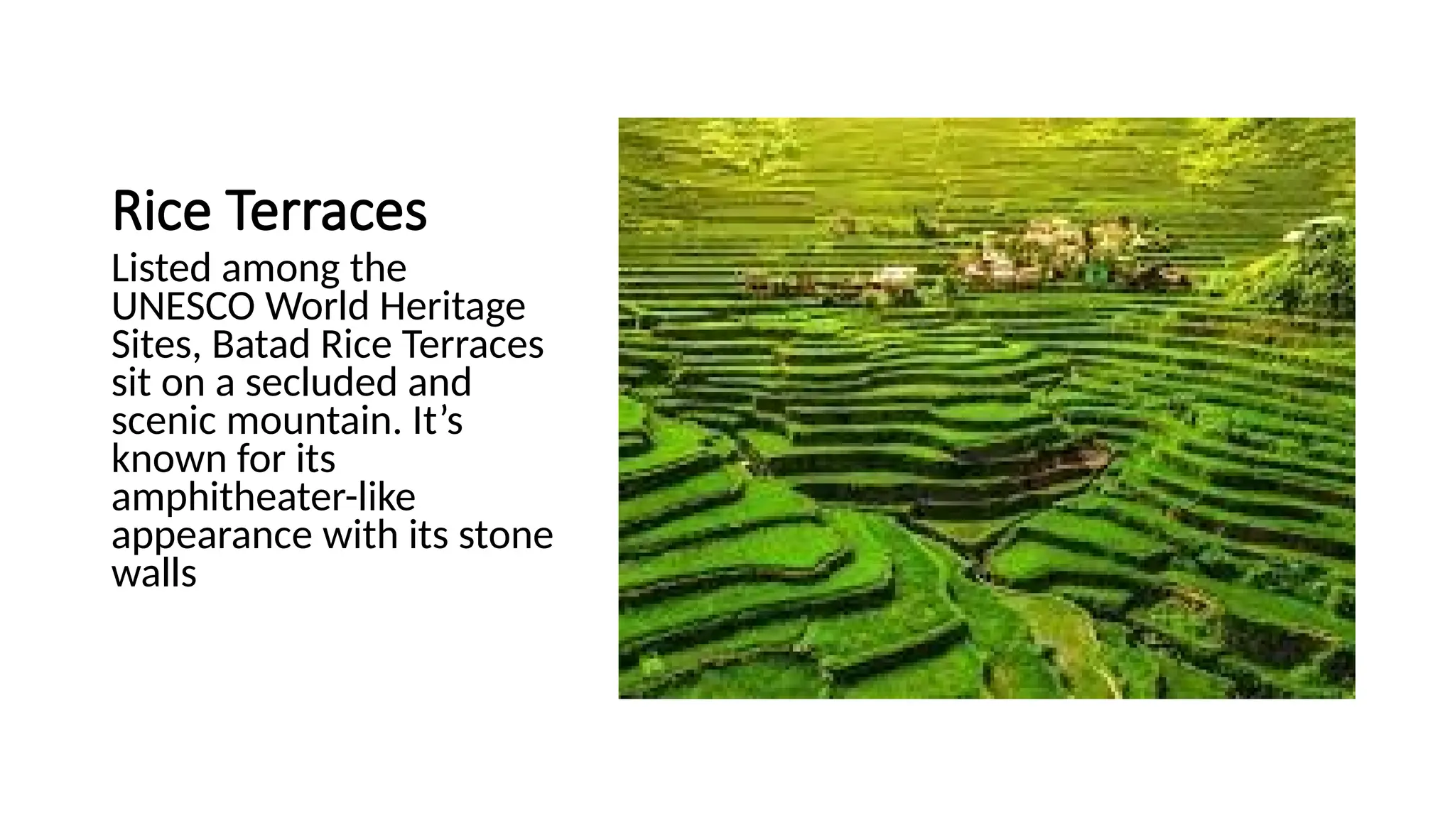 Grade 8 A lesson on Adjectives for Garde 2- grade 8.pptx