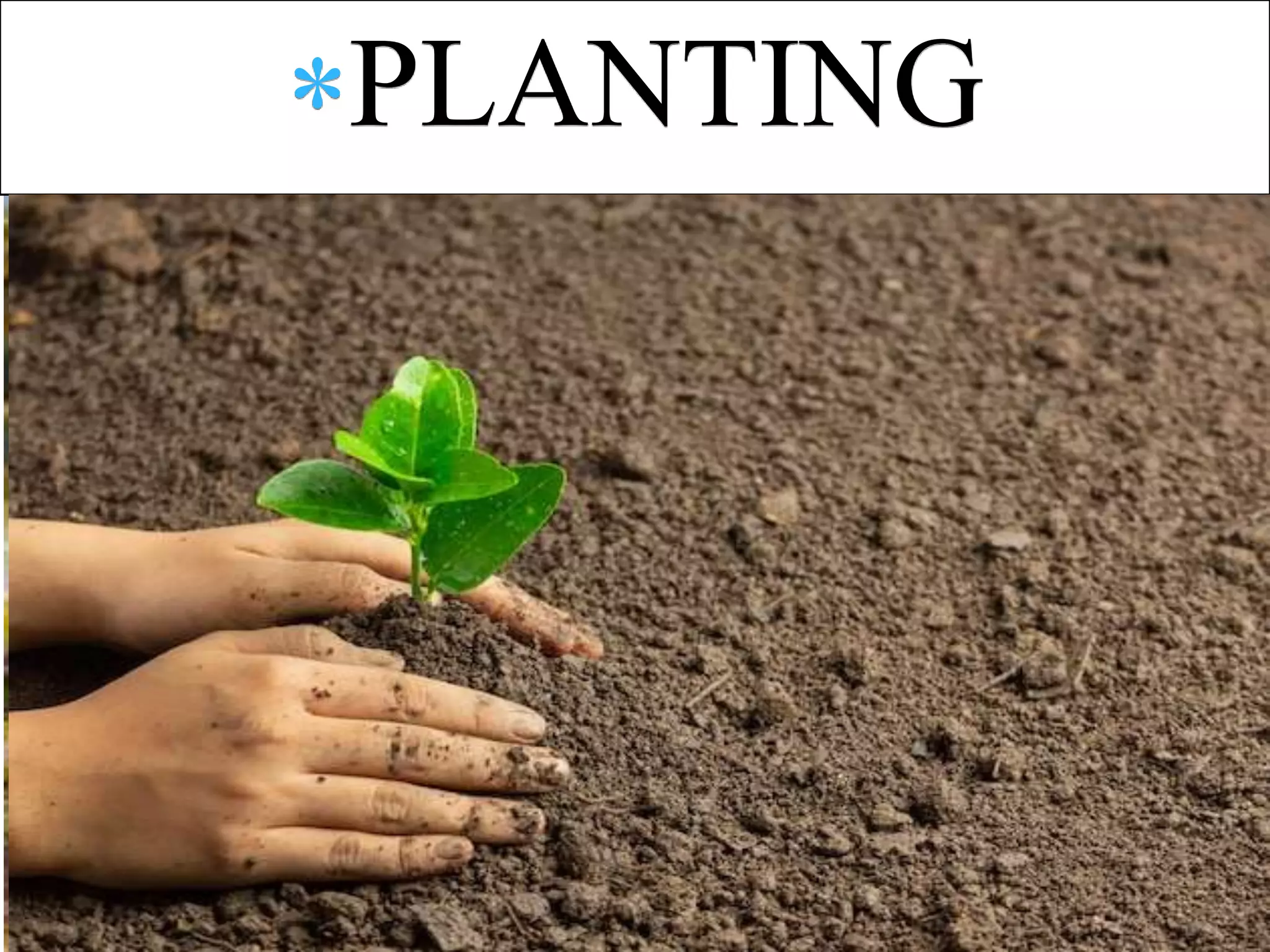 grade8 agriculture.pptx