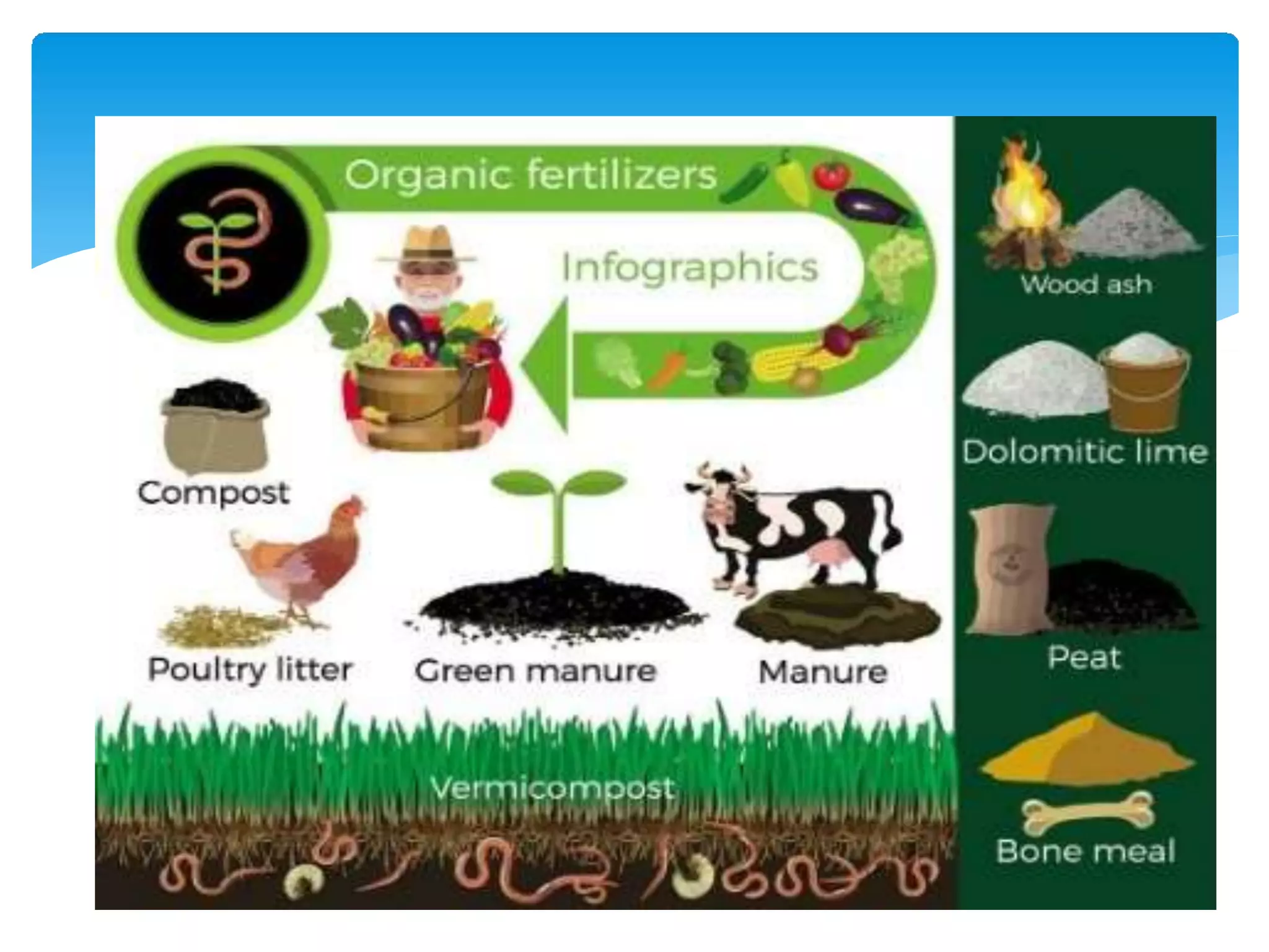 grade8 agriculture.pptx