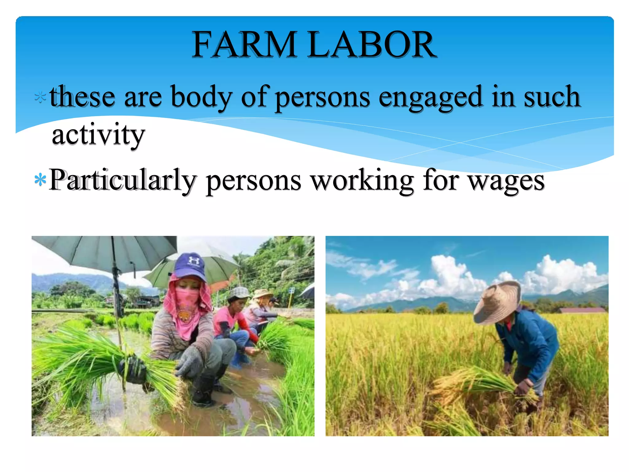 grade8 agriculture.pptx