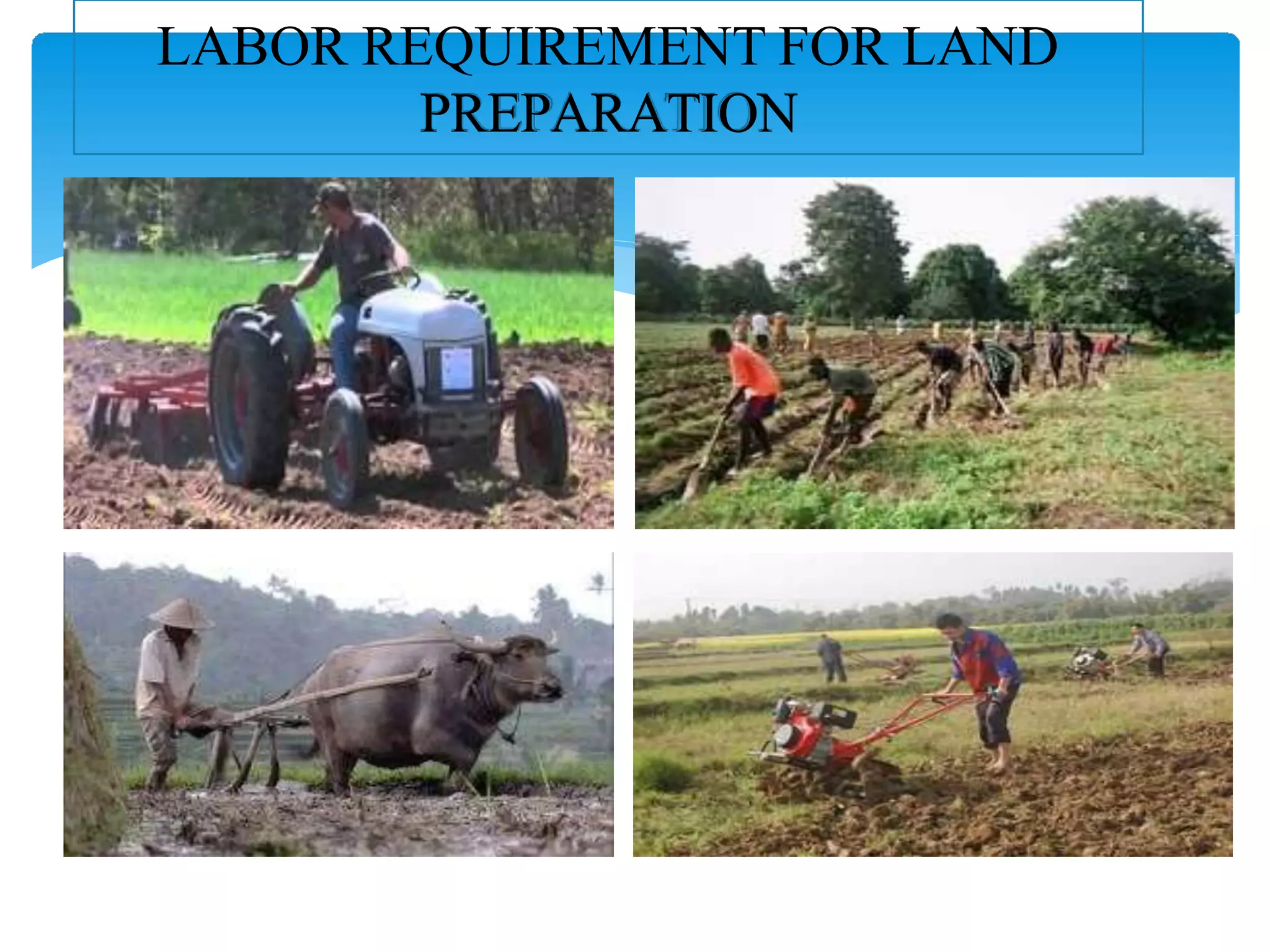 grade8 agriculture.pptx