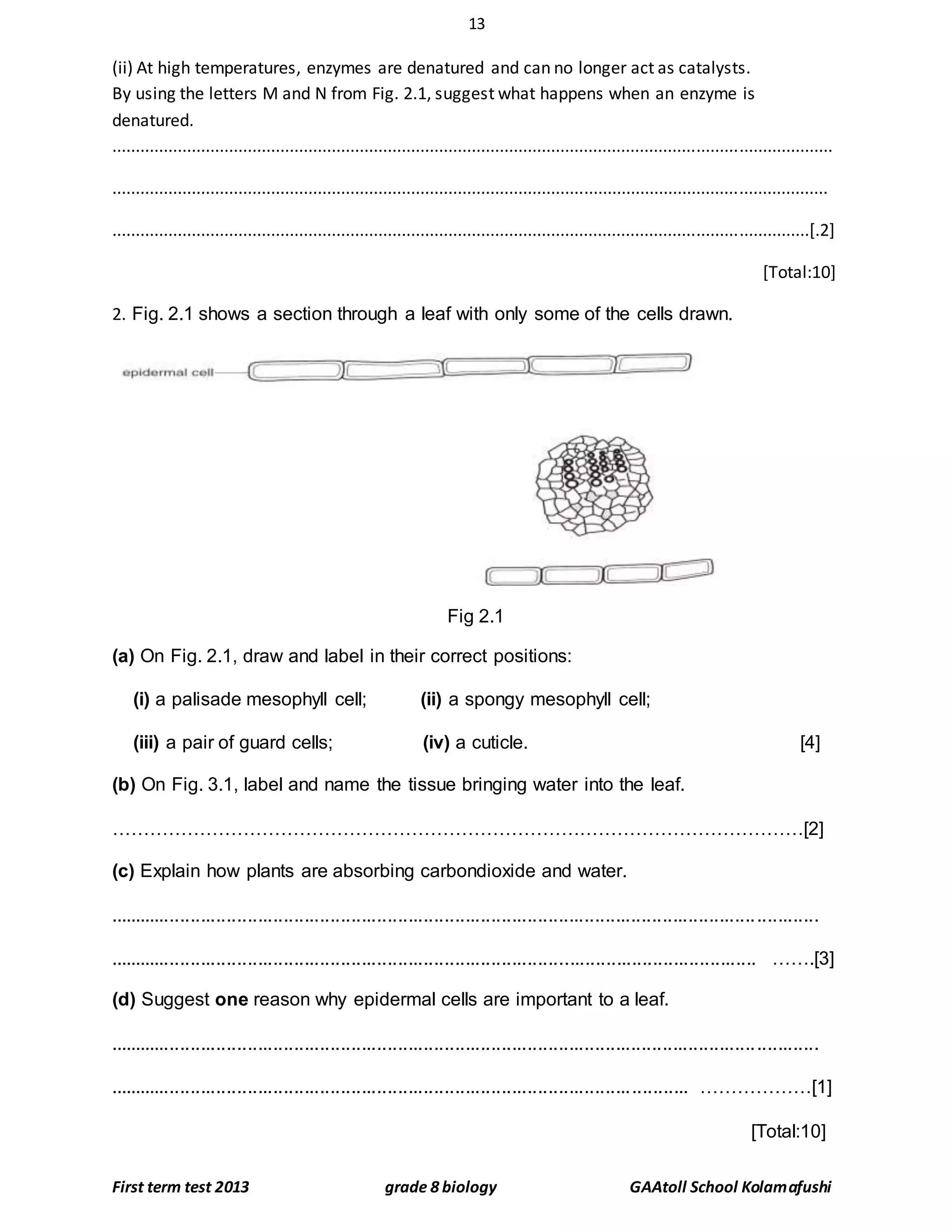 Grade 8 Biology Practice Test | DOCX