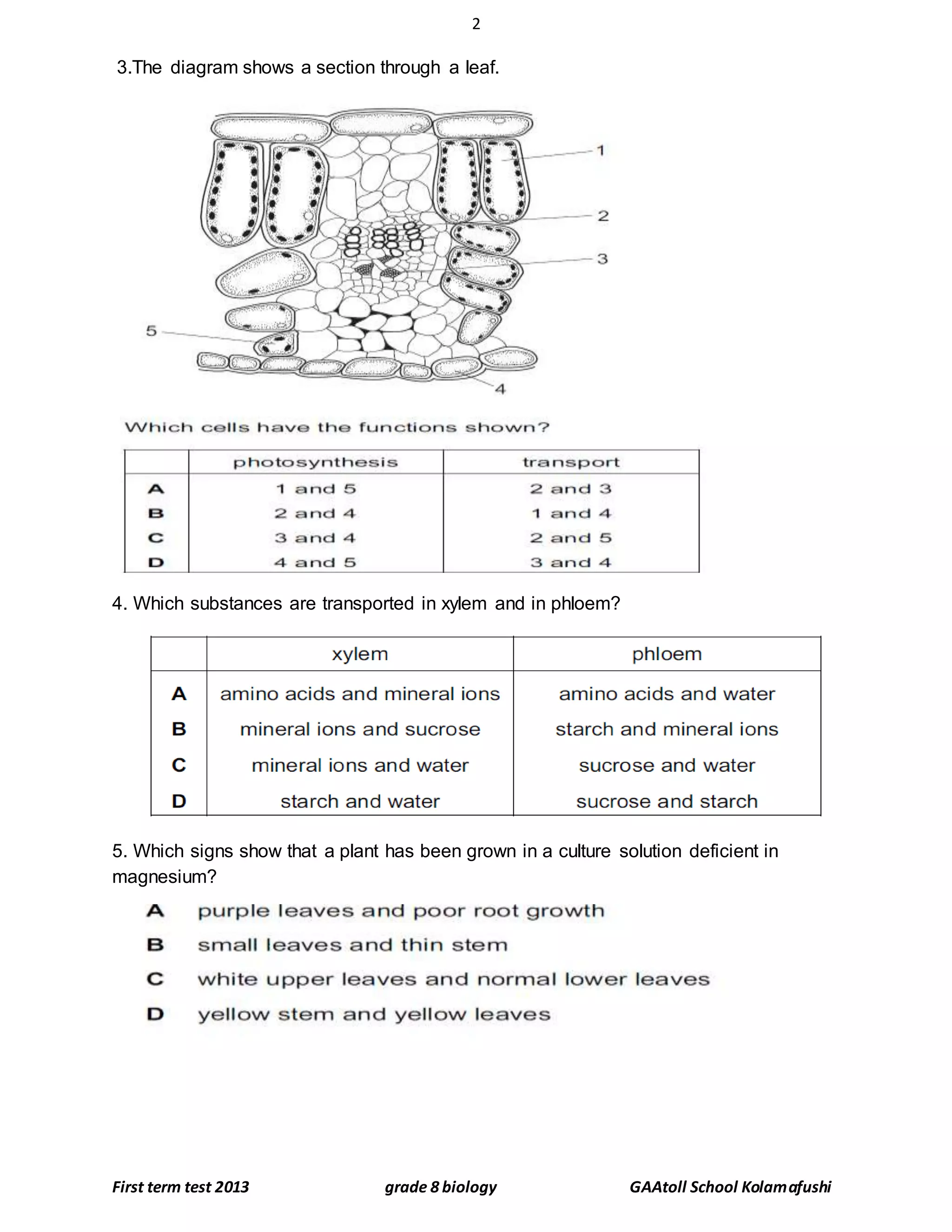 Grade 8 Biology Practice Test | DOCX