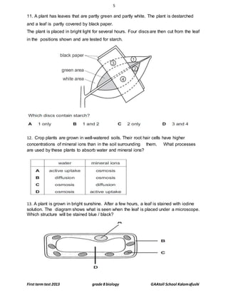 Grade 8 Biology Practice Test | DOCX