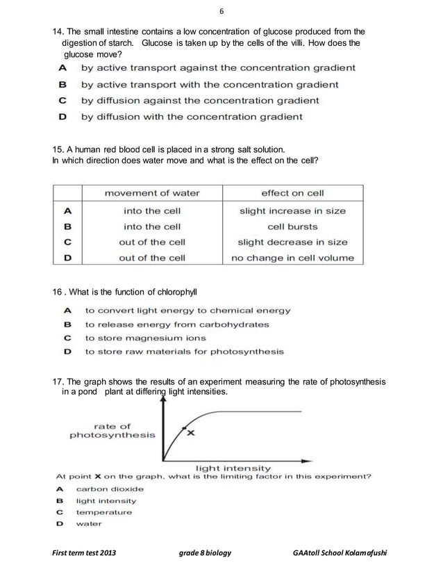 Grade 8 Biology Practice Test | DOCX | Biological Sciences | Science