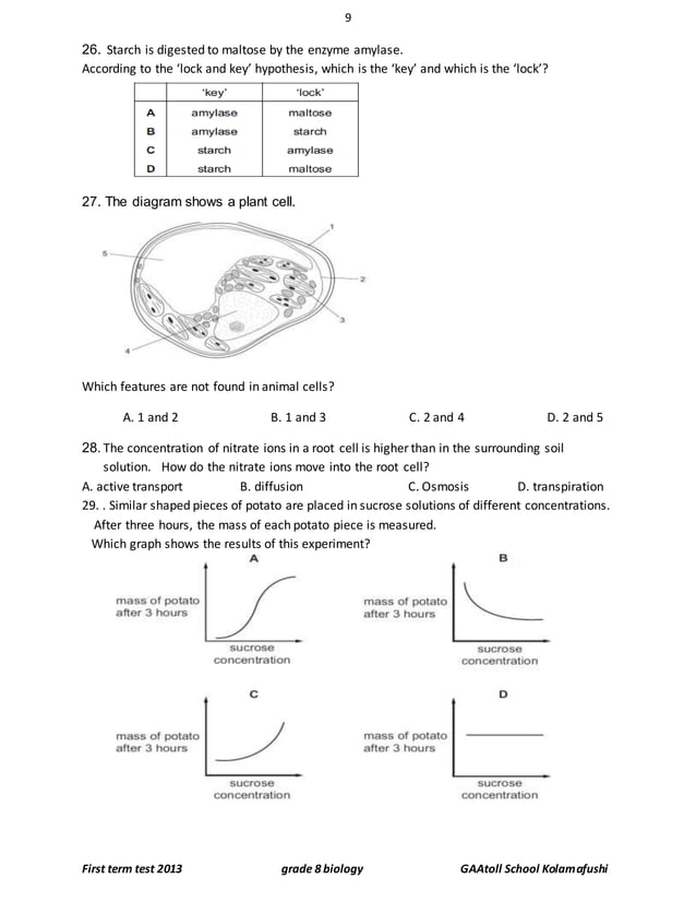 Grade 8 Biology Practice Test | DOCX | Biological Sciences | Science