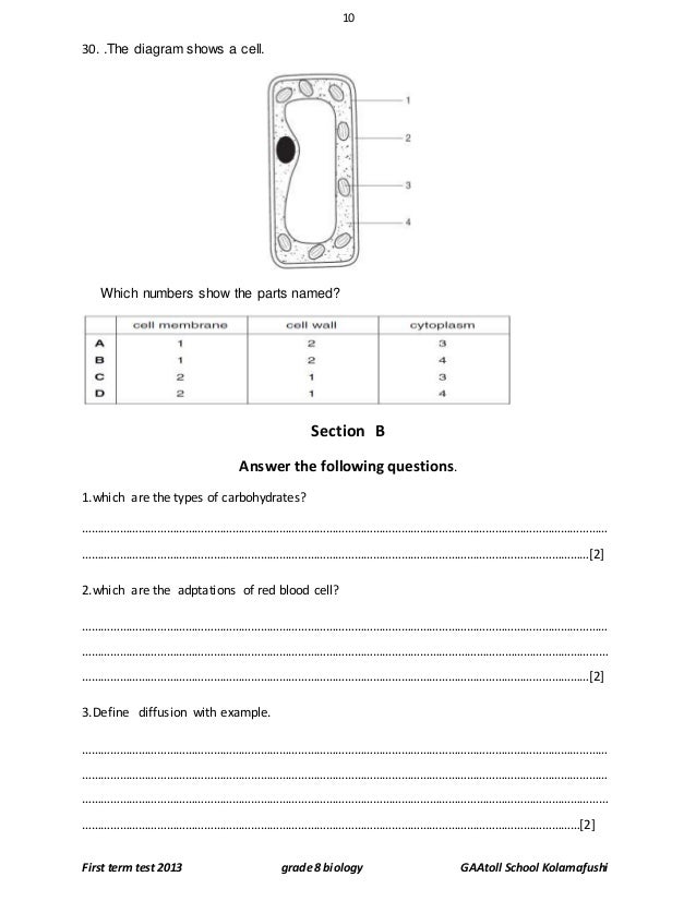 Grade 8 Biology Practice Test