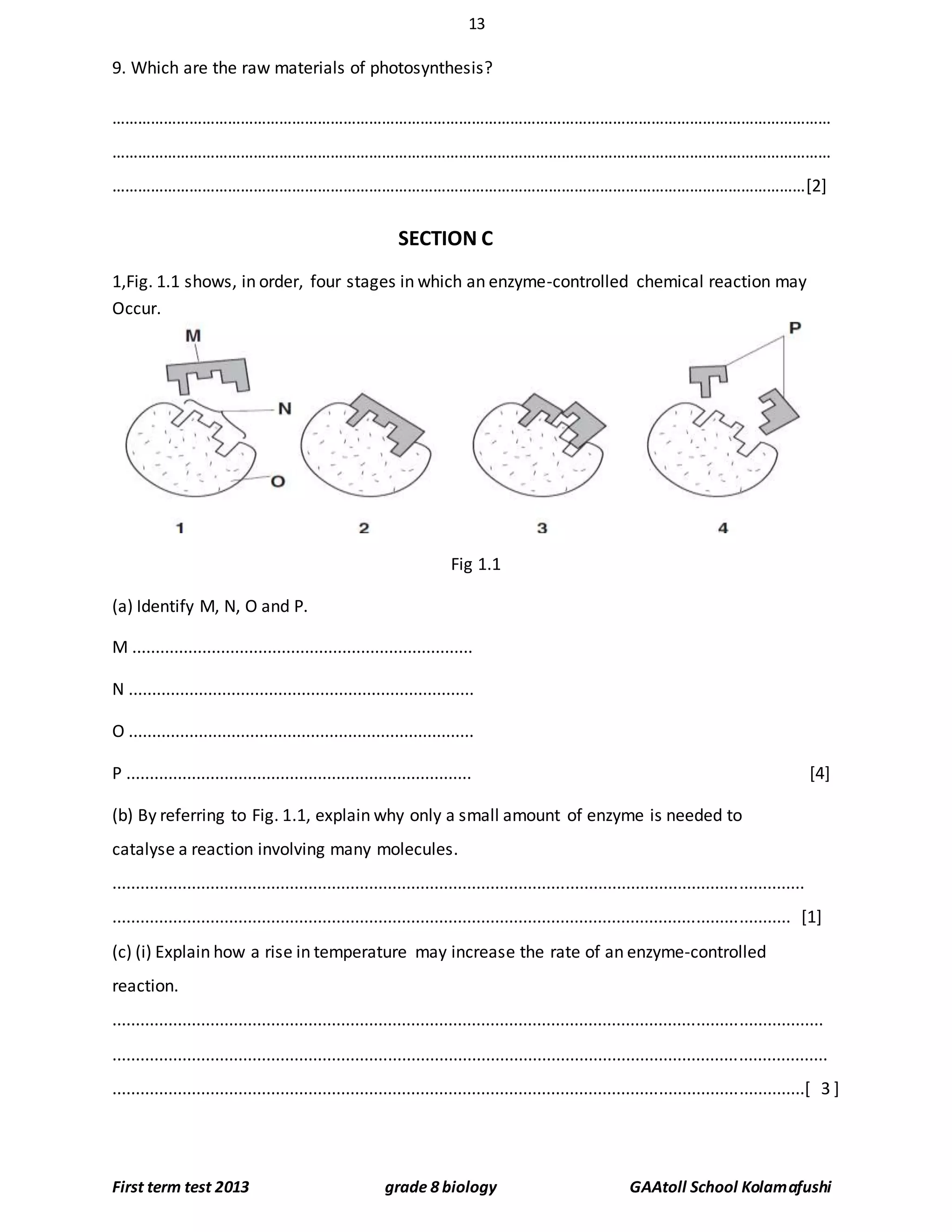 Grade 8 biology first term 2013 | PDF