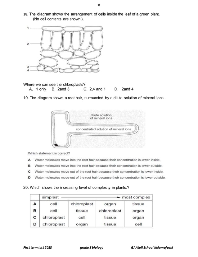 Grade 8 biology first term 2013 | PDF