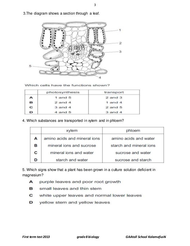 Grade 8 biology first term 2013 copy