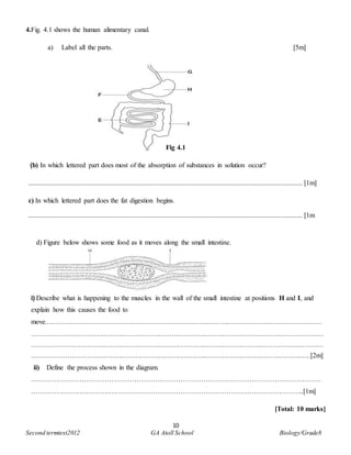 Grade 8 biology term2 2012 | DOCX