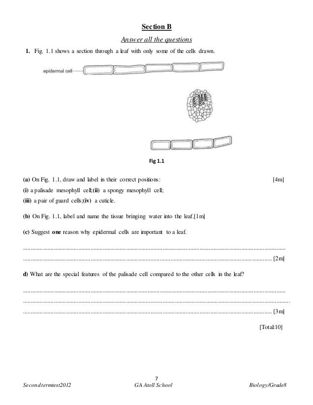 Grade 8 biology term2 2012