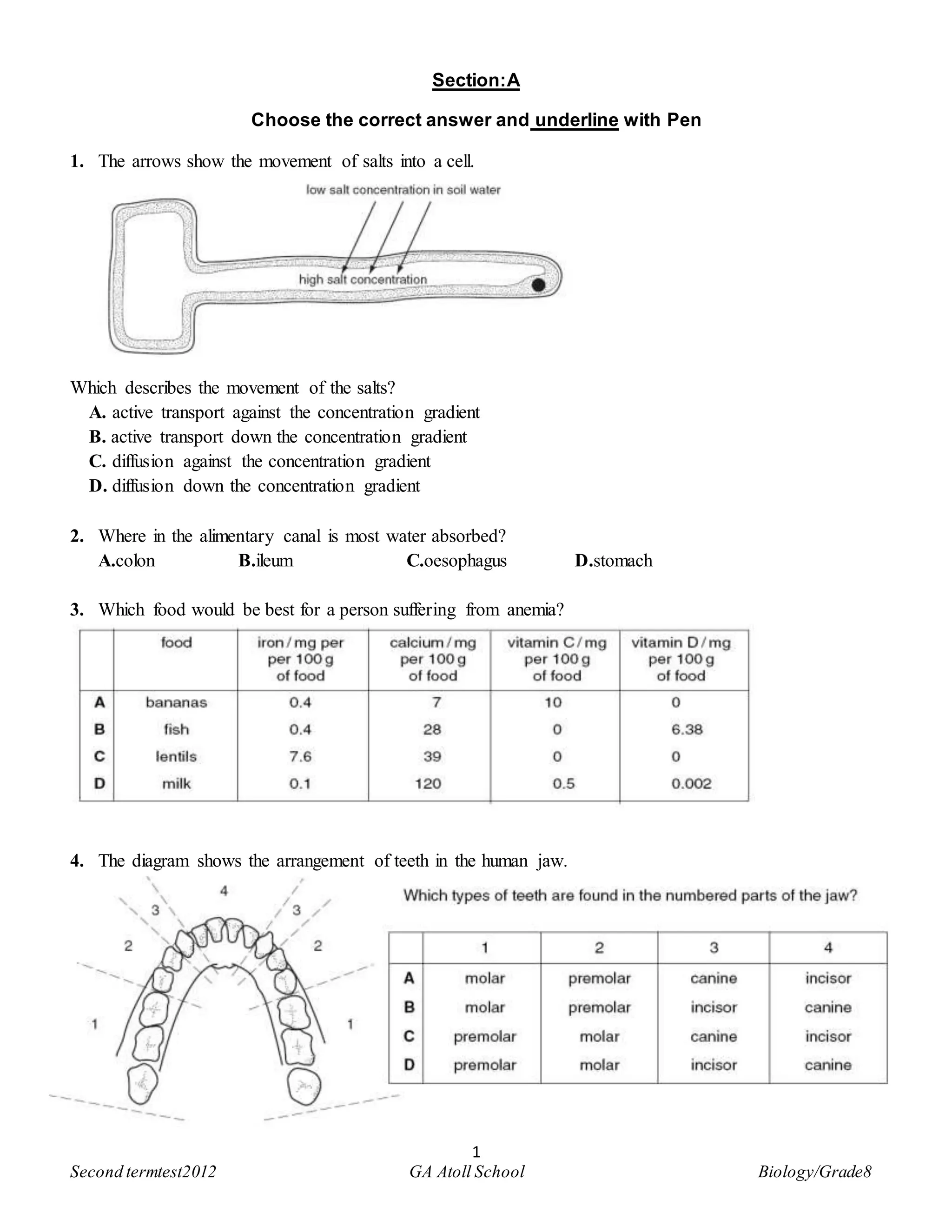 Grade 8 biology term2 2012 copy | DOCX