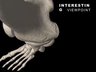 Grade 8 bones intro | PPT