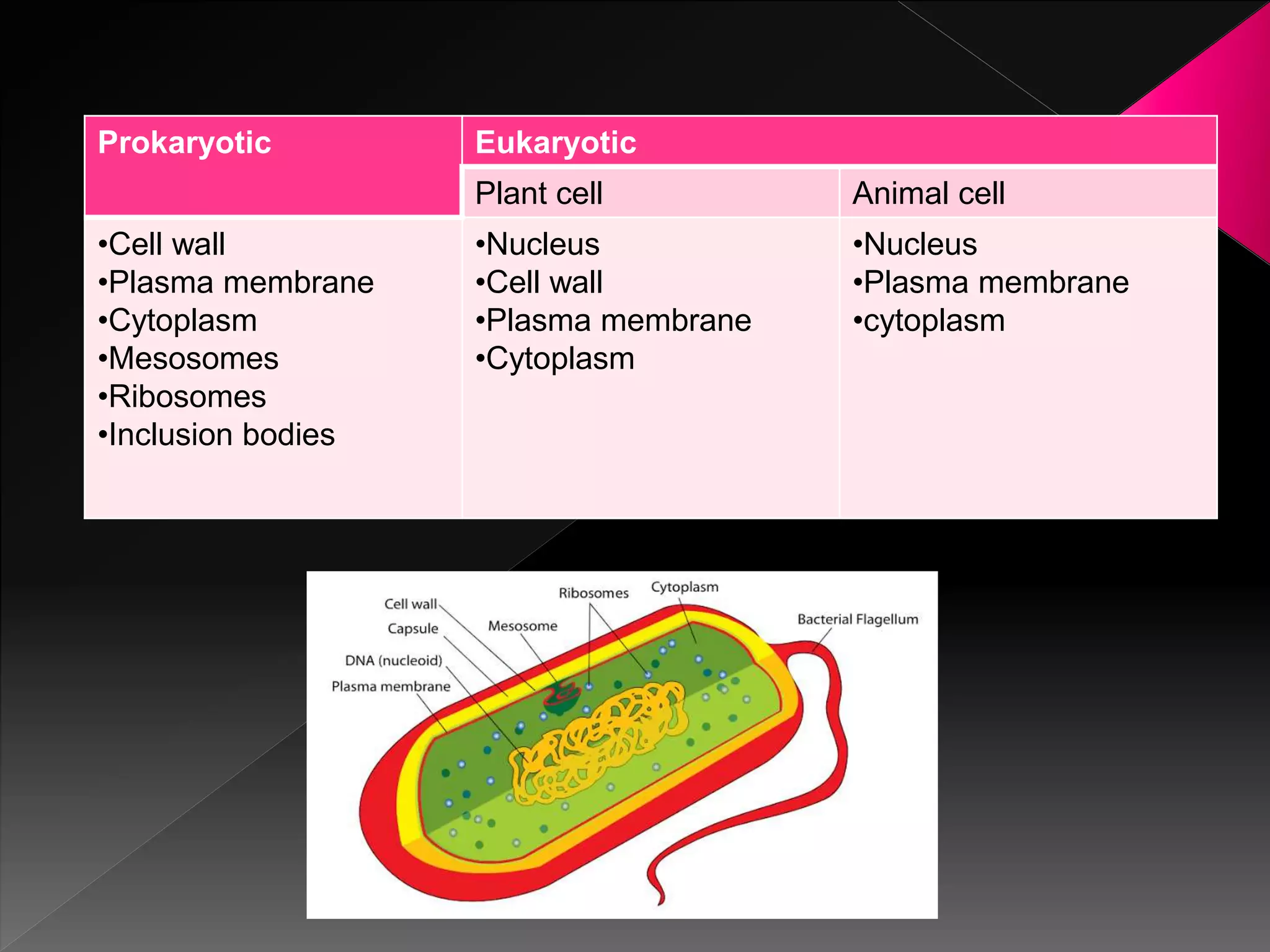 grade 8 Cell – the basic unit of life.pptx