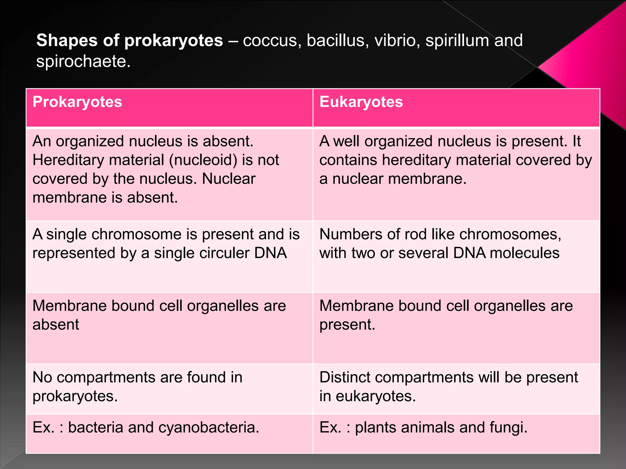 grade 8 Cell – the basic unit of life.pptx | Biological Sciences | Science