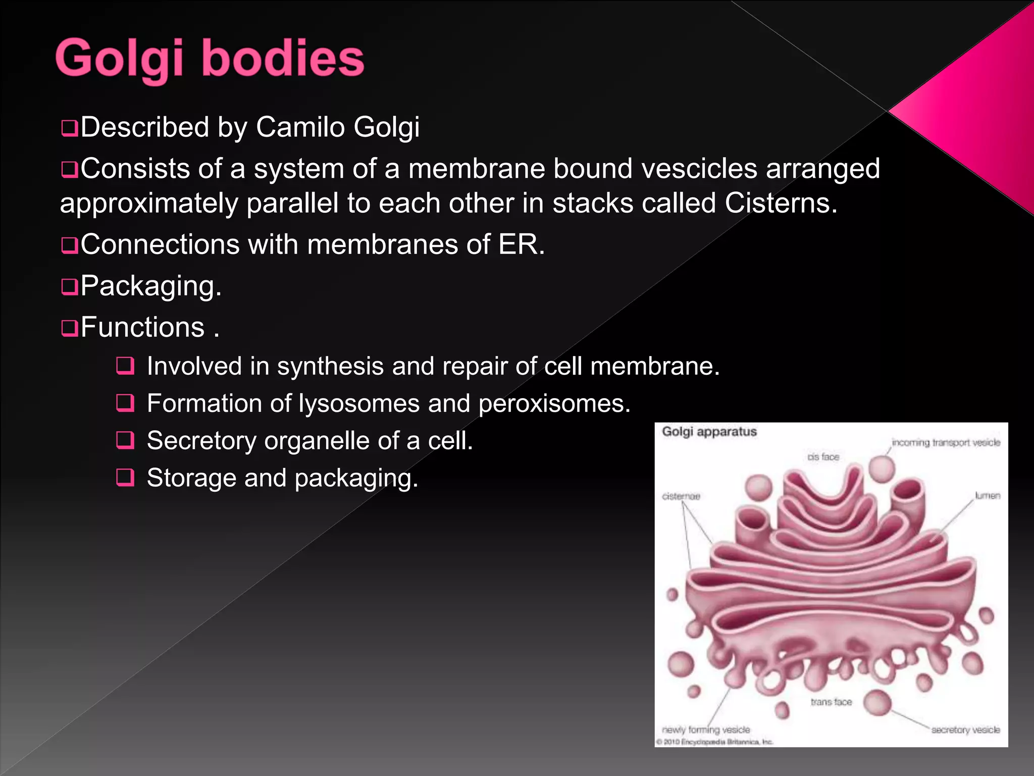 grade 8 Cell – the basic unit of life.pptx