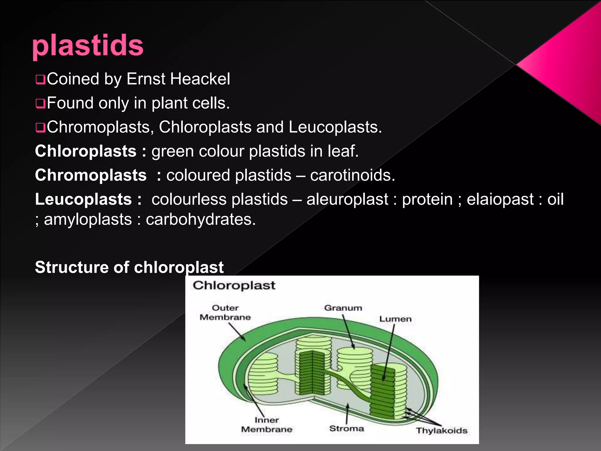 grade 8 Cell – the basic unit of life.pptx