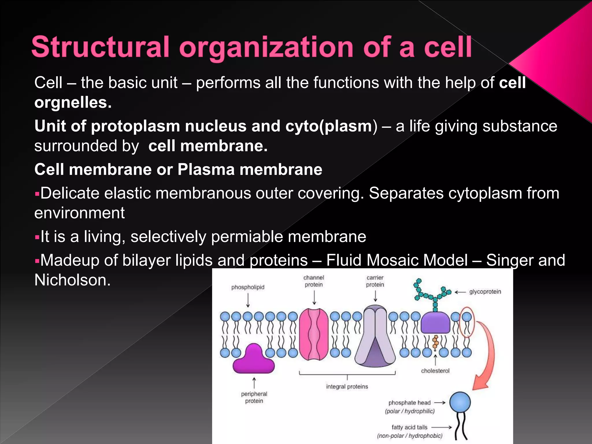grade 8 Cell – the basic unit of life.pptx